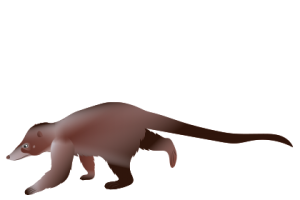 Bos - Dierenpark Zie Zoo